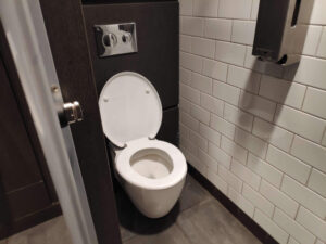 British Slang For Toilet (11 Examples!) - Foreign Lingo