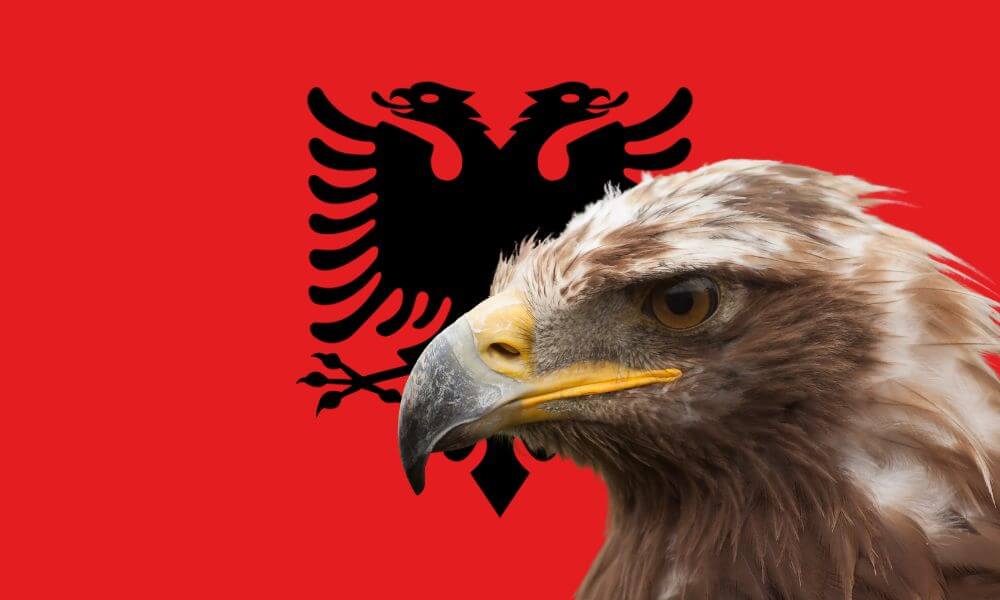 National Animal Of Albania (Helpful Content!) - Foreign Lingo