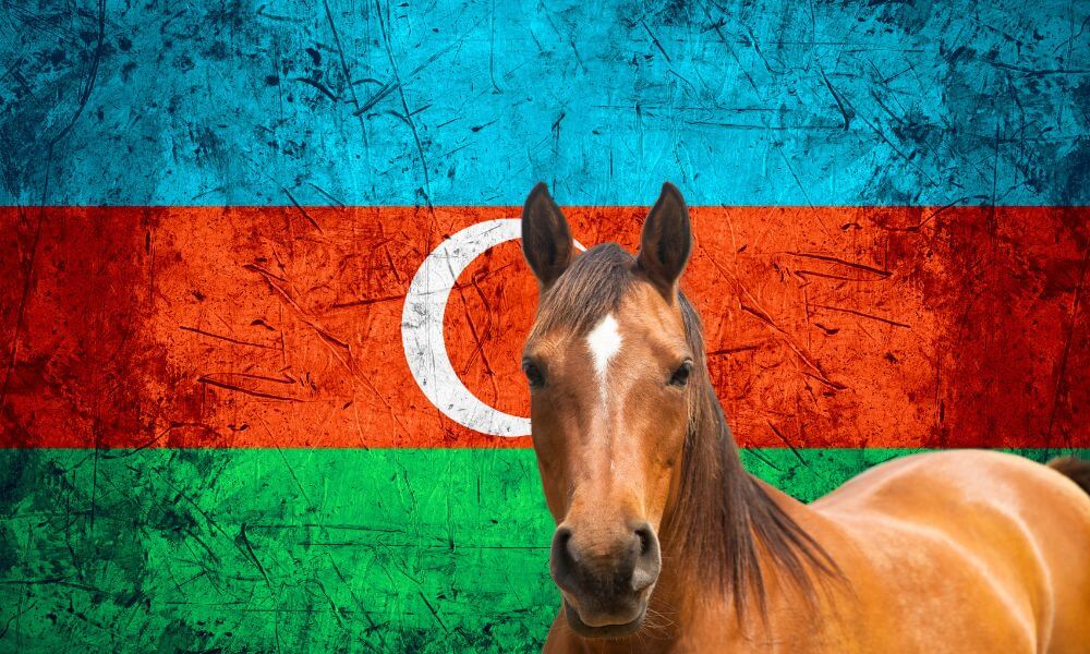 National Animal Of Azerbaijan (Helpful Content!) - Foreign Lingo