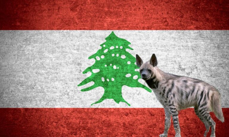 National Animal Of Lebanon (Helpful Content!) - Foreign Lingo