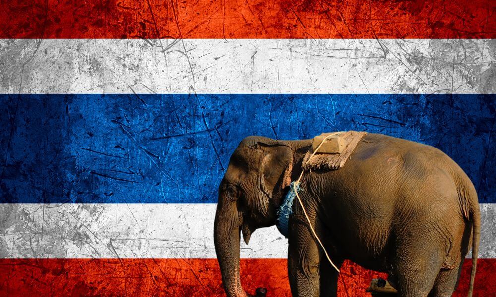 National Animal Of Thailand (Helpful Content!) - Foreign Lingo