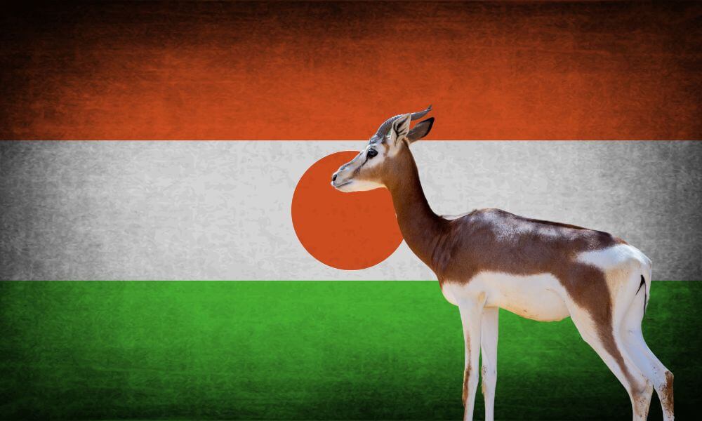 Niger Animals