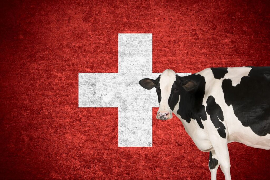 National Animal Of Switzerland (Helpful Content!) - Foreign Lingo