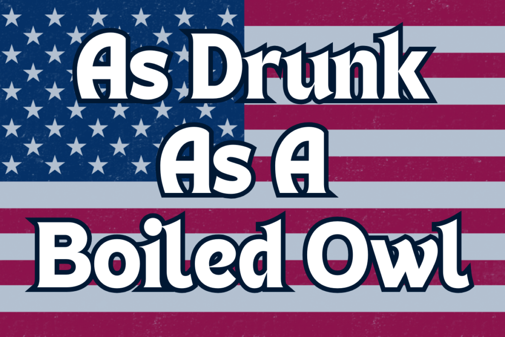 10 American Slang Words For Drunk That Will Blow Your Mind! - Foreign Lingo