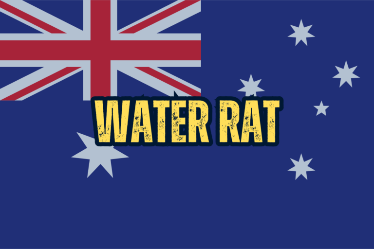 10 Ways To Talk About The Cops Like An Aussie (How Many Do You Know ...