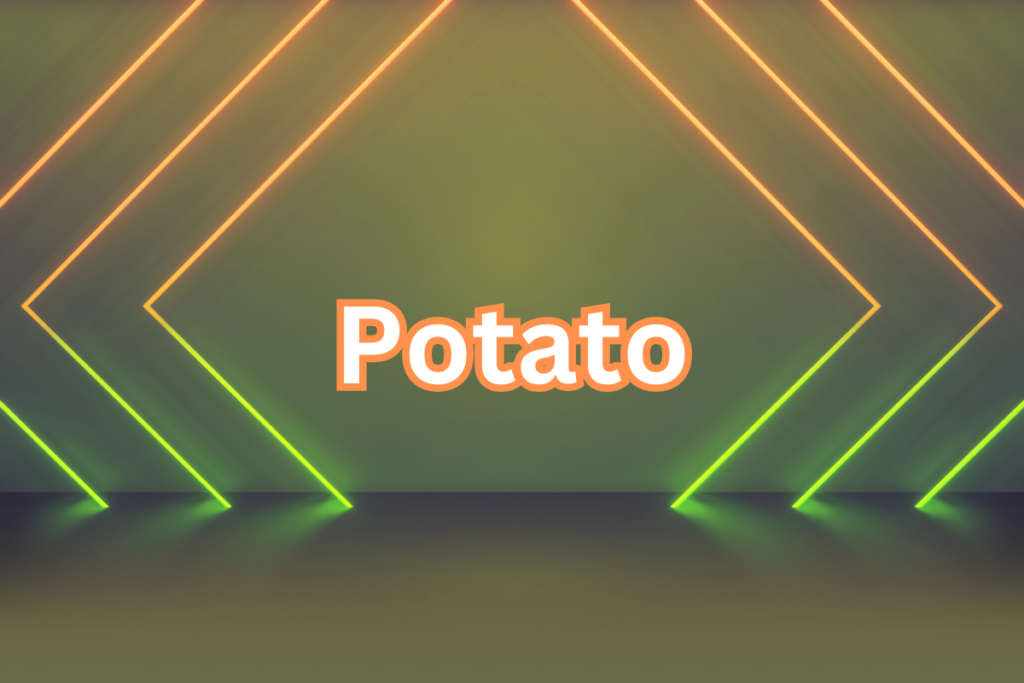 30 Wrestling Slang Terms That Only True Fans Understand - Foreign Lingo